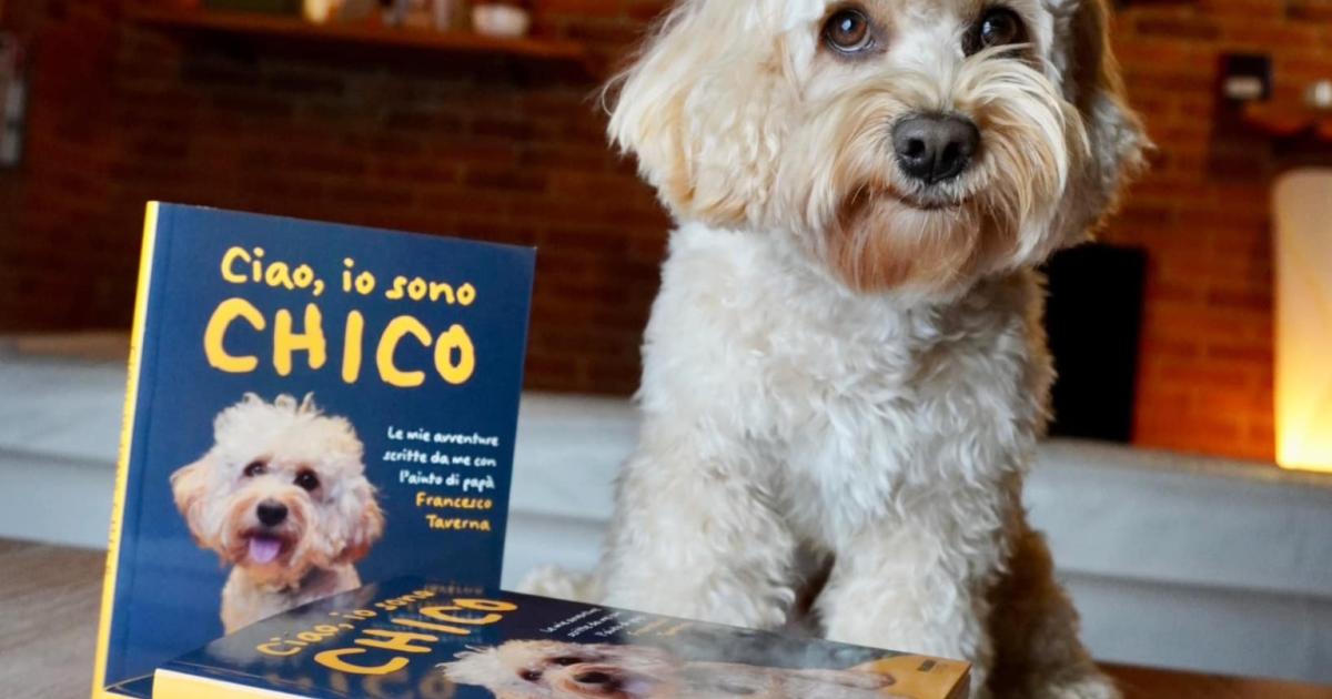 Firmacopie con Chico