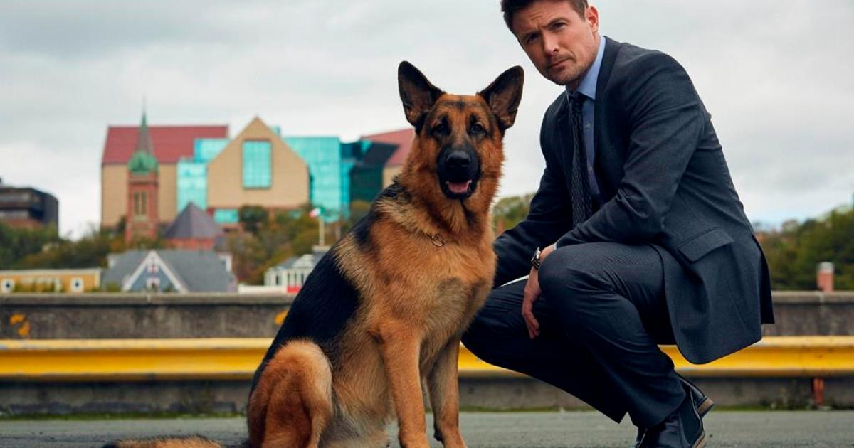 Addio a Rex: il cane-attore lascia il palcoscenico